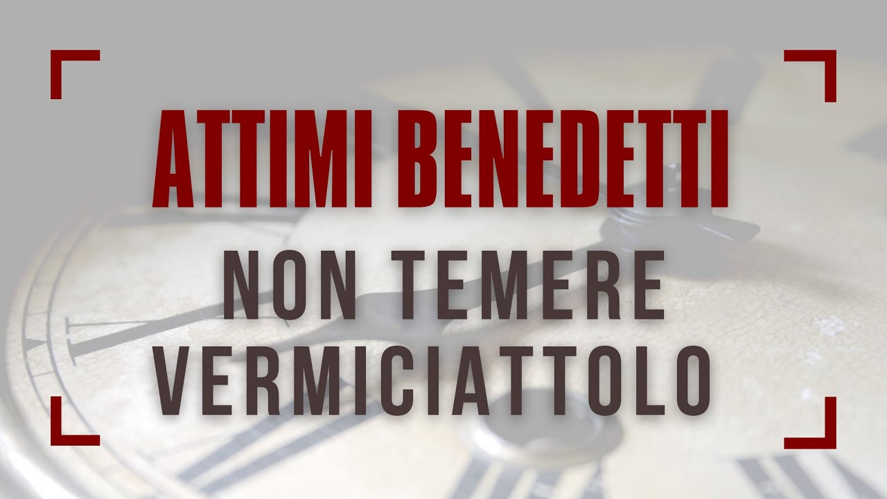 ATTIMI BENEDETTI: NON TEMERE VERMICIATTOLO - YouTube