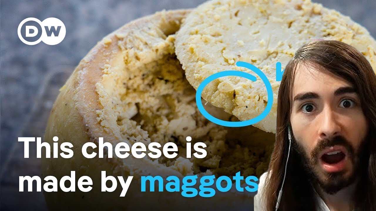 Moist Critical Reacts to The World's Most Dangerous Cheese - YouTube