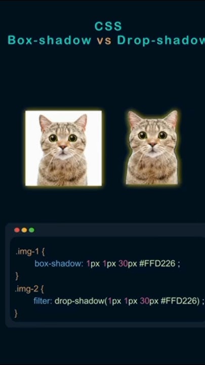Box shadow vs Drop shadow #css #htmlcss #coding - YouTube