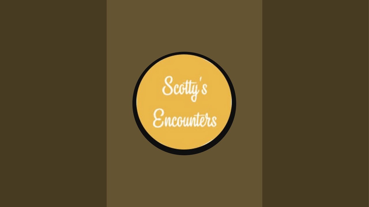 Scotty’s Encounters is live watching the 2024 Perth Christmas Pageant ...