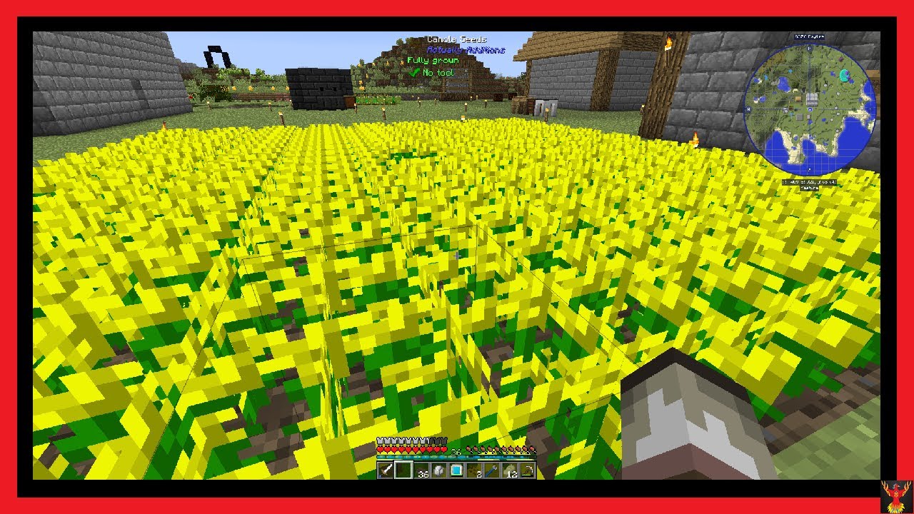 Flower Power - Minecraft Let's Play - Episode 11 - YouTube