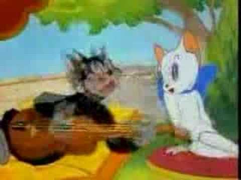 silopi lisesi işte aşk böyle