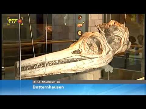 Fossilienmuseum Dotternhausen - YouTube