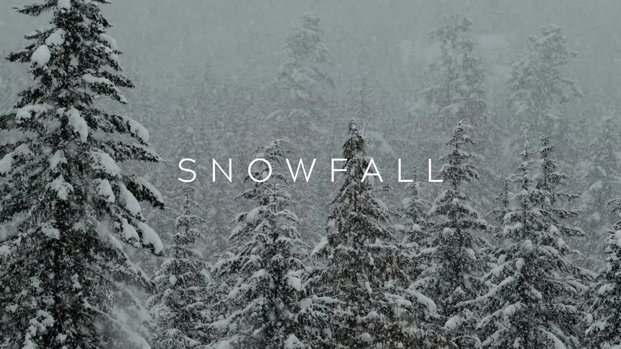 SNOWY WINTER WONDERLAND for sleep, focus, study, and meditationㅣ ...