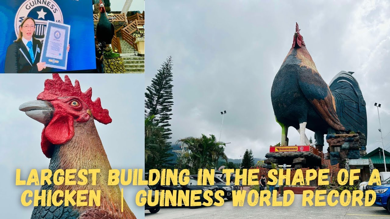 LARGEST BUILDING IN THE SHAPE OF A CHICKEN | ROOSTER-SHAPED HOTEL ...