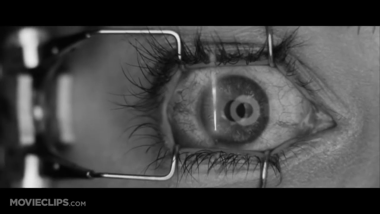 Truesight Book Trailer - YouTube