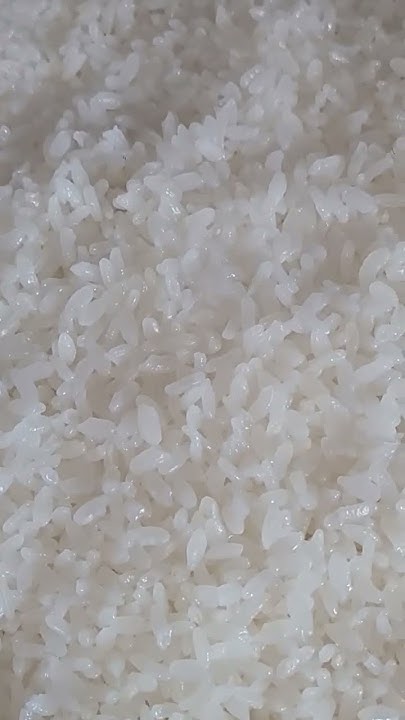 "하얀 쌀밥 백미 냄비밥 해먹는 영상"#쌀밥#밥#흰쌀밥#냄비밥#냄비밥하는영상#하얀쌀밥#흰쌀밥영상#밥하기#냄비밥하기#냄비밥하는법 ...