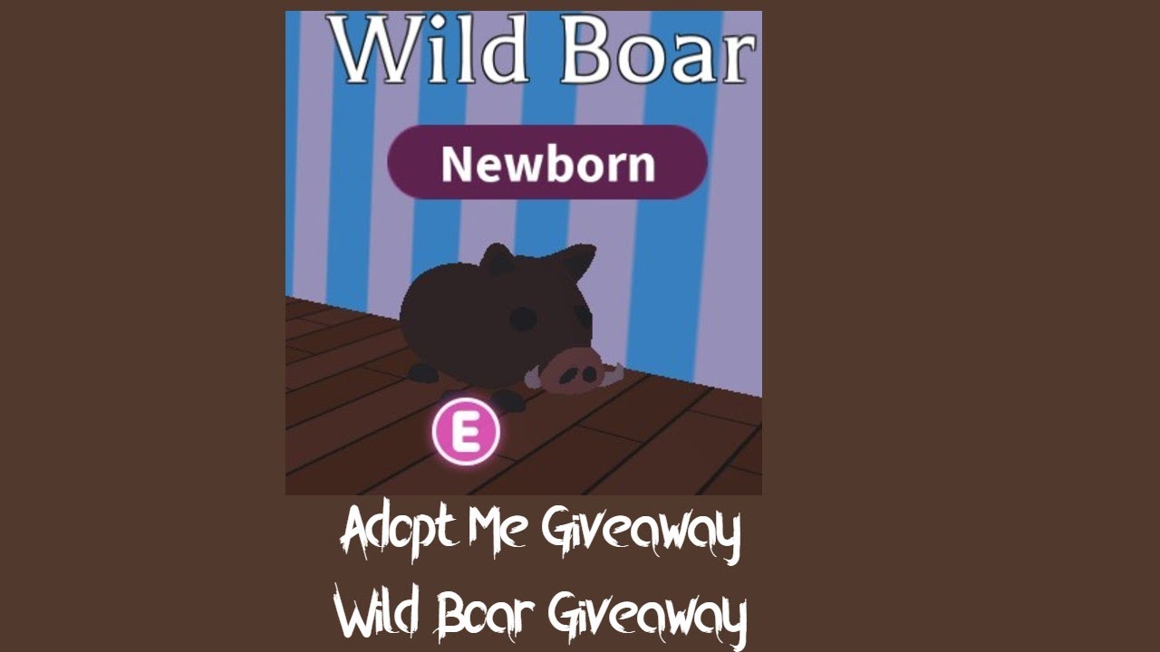 Adopt Me Giveaway | Wild Boar Giveaway | Roblox - YouTube