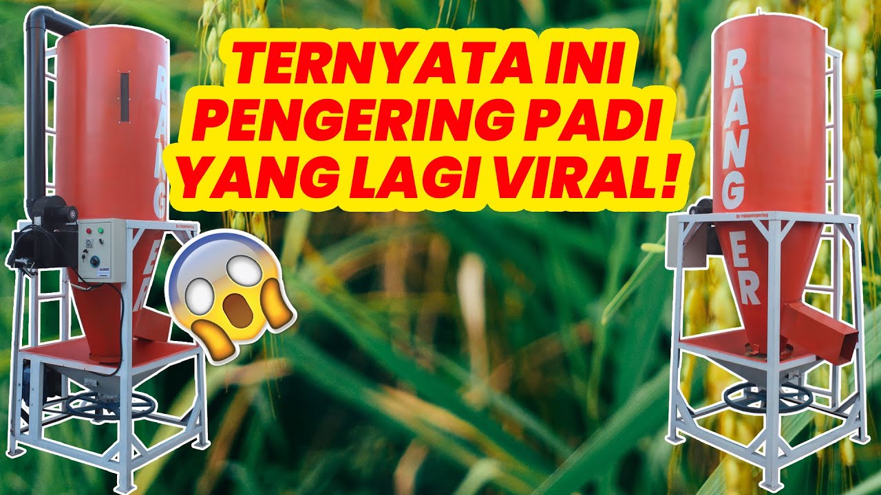 1 TON PADI SEKALI PROSES! PENGERING PADI JAGUNG FULL OTOMATIS! VERTICAL ...