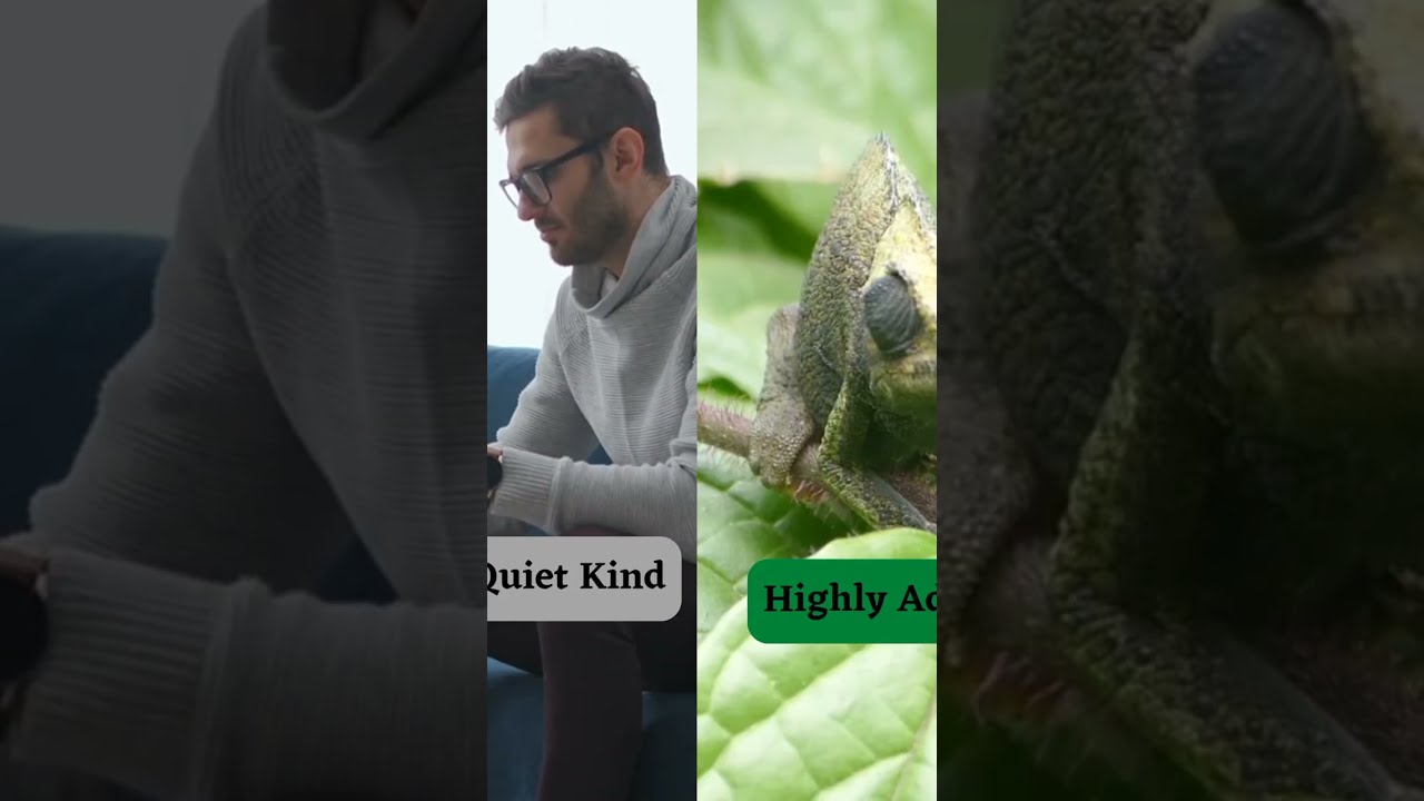 8 Genius Signs of Intelligence - YouTube