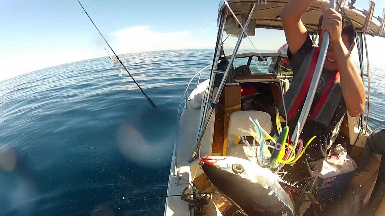 Albacore Tuna fishing out of Golden Gate - YouTube