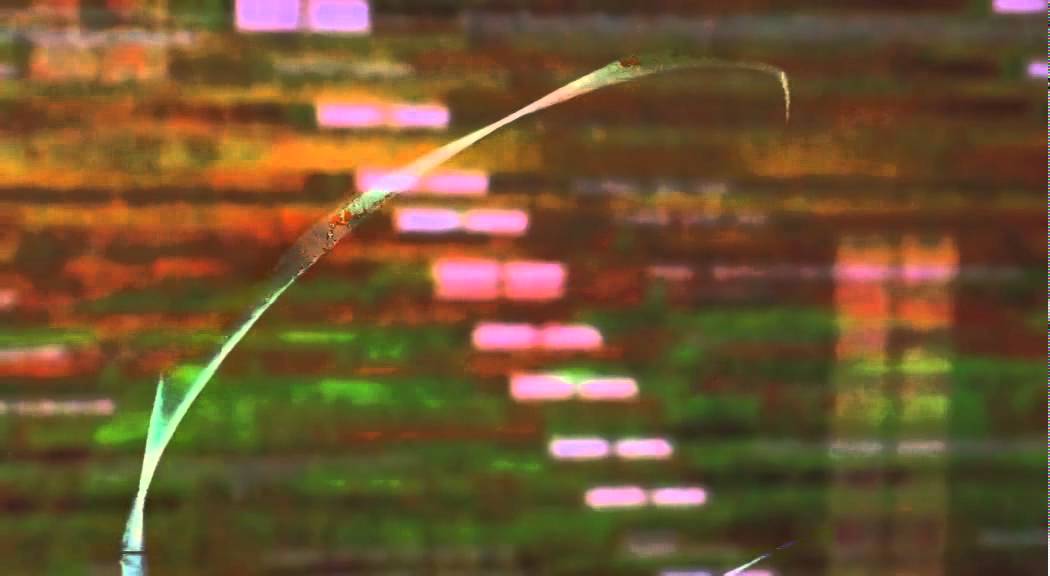 Witch (Dis-figured mix) - YouTube