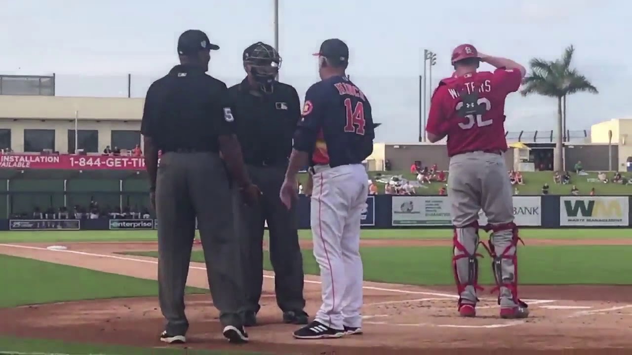 MLB 2019 Spring Training Ejections - YouTube