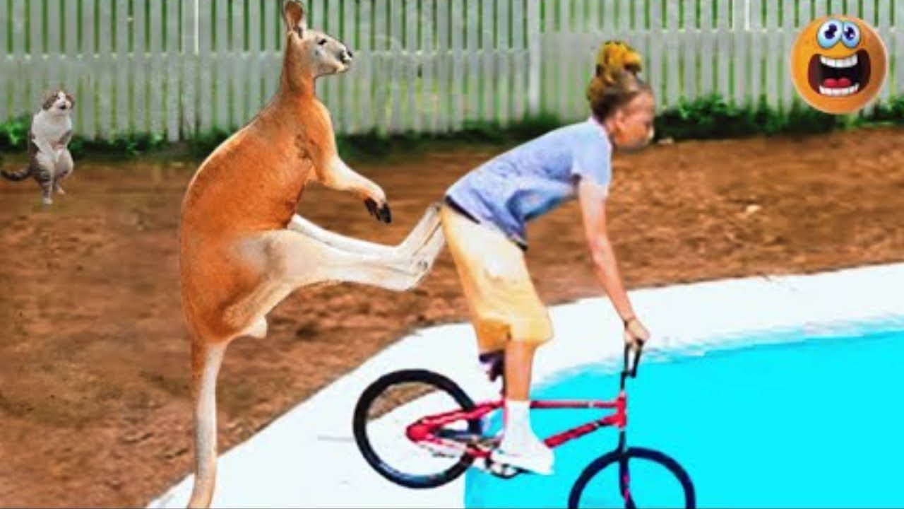 The Funniest Animal Moments Caught on Camera - YouTube