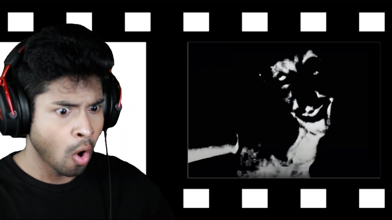 THE ALTERNATE FINALLY SHOWS ITSELF! | The Mandela Catalogue Vol.333 ...