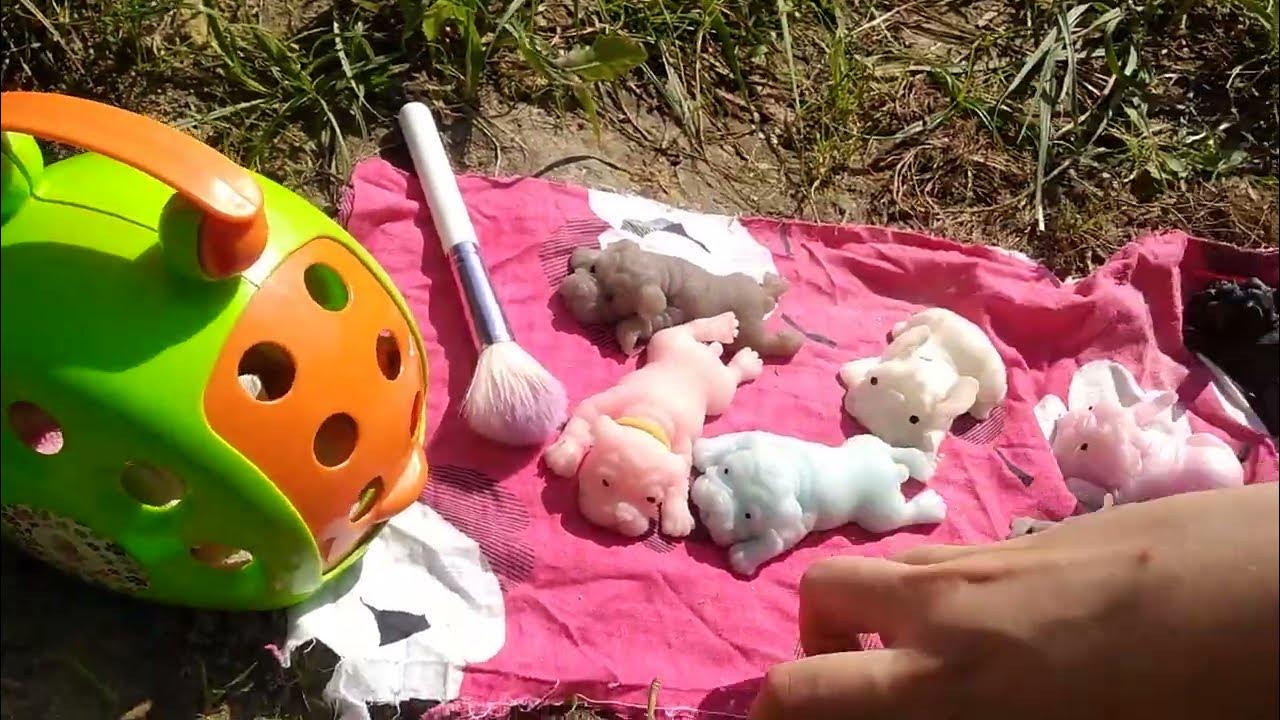 3 часть видео: Собачки на даче - YouTube