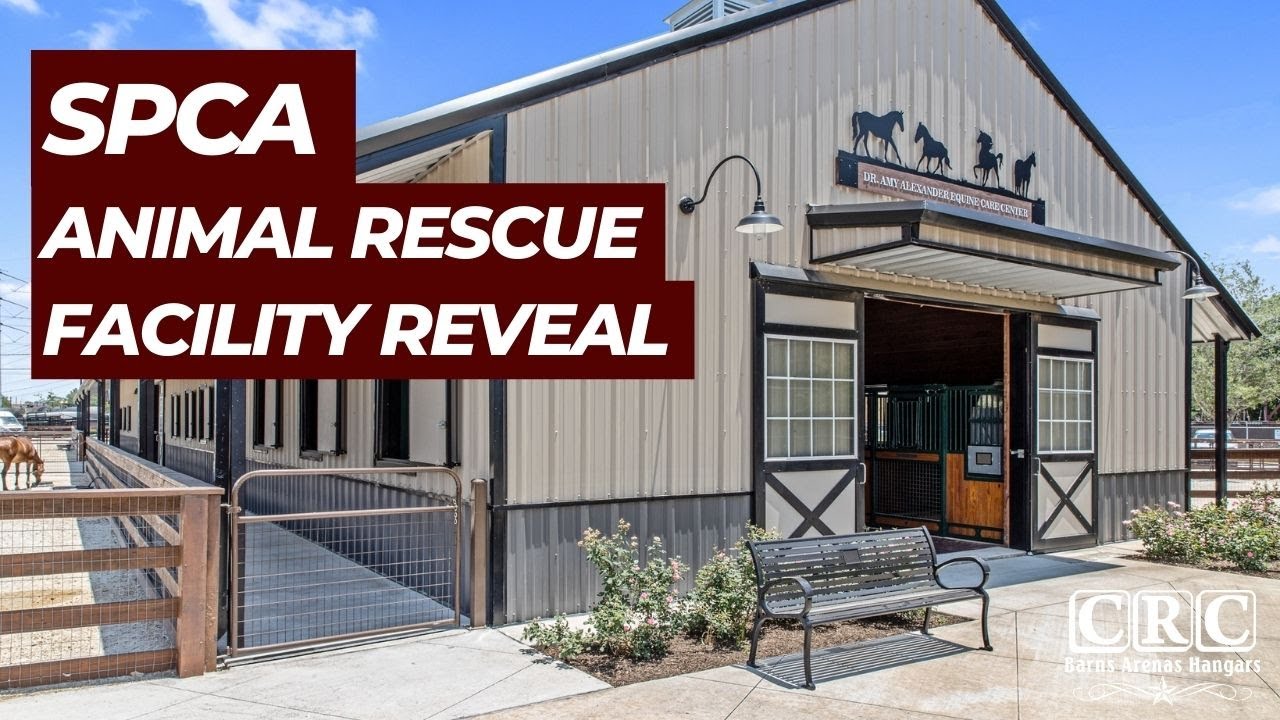 SPCA Animal Rescue Facility Tour | CRC – Champion Ranchers Construction ...