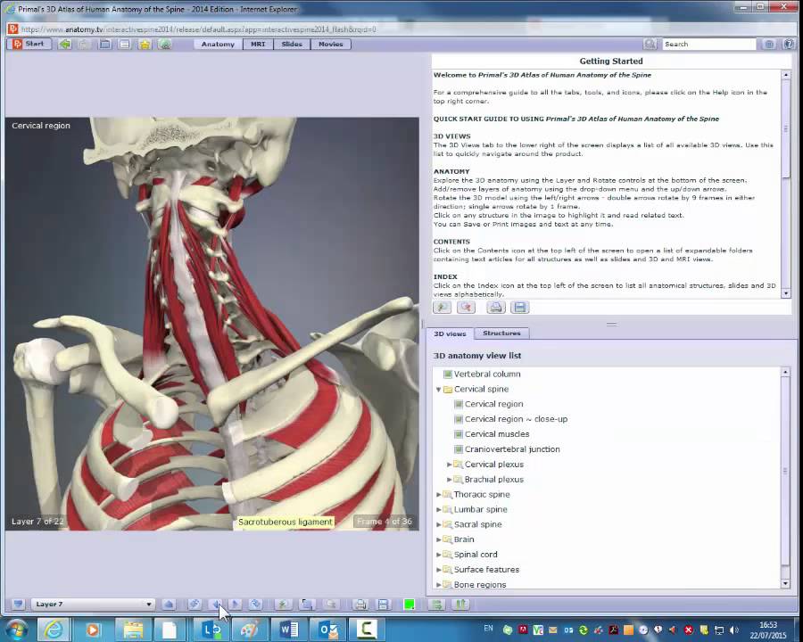 anatomy tv video - YouTube