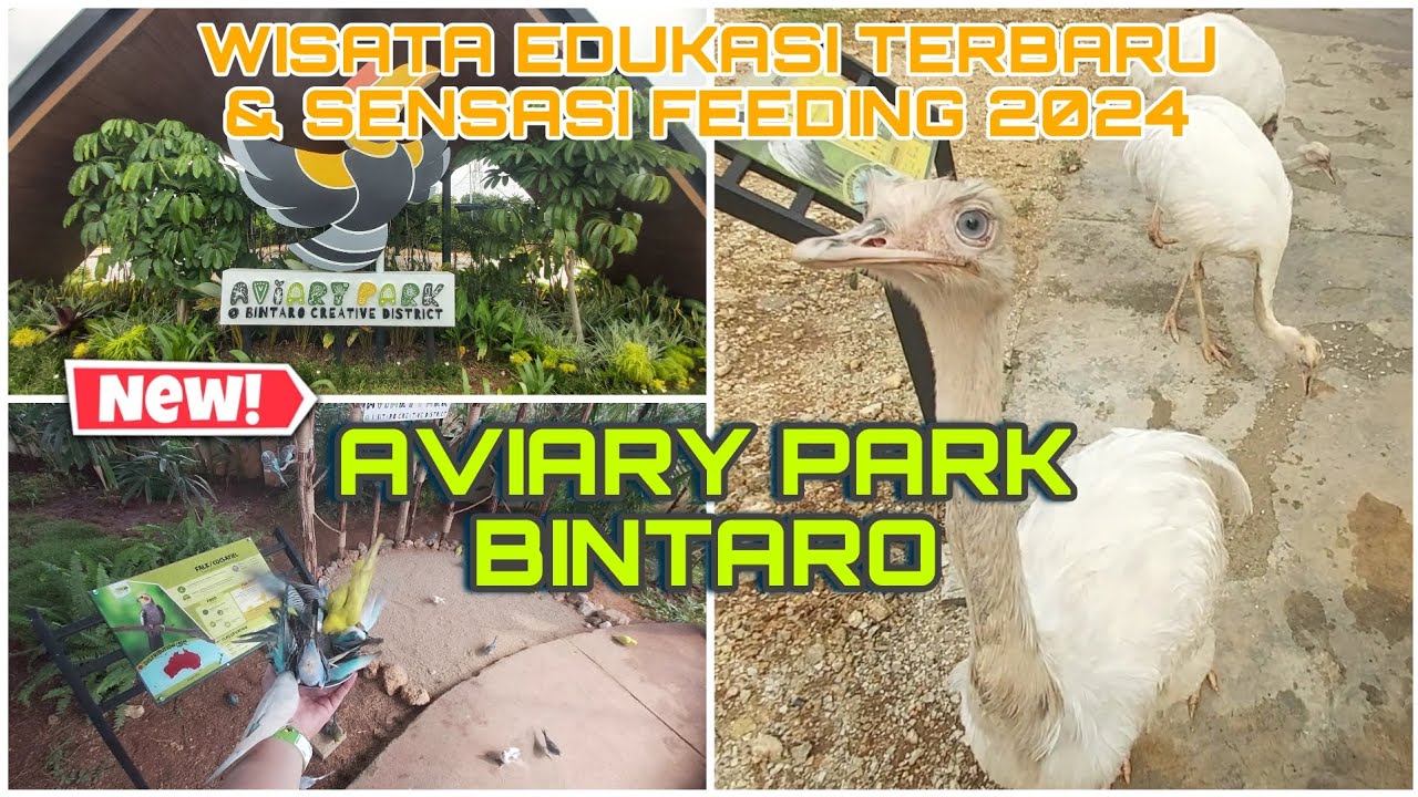 Aviary Park Bintaro Tangsel | Wisata Edukasi Kebun Binatang Terbaru ...