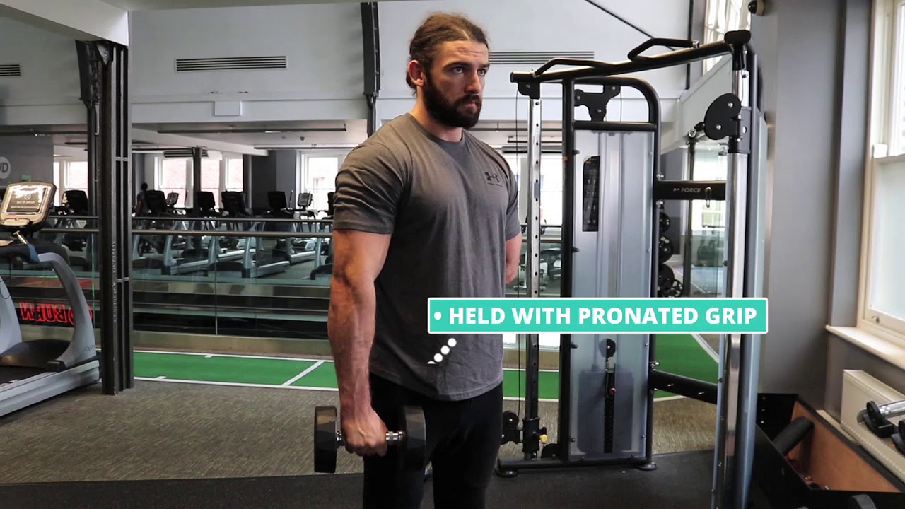 How To Do Cross Body Single Hammer Curl | Exercise Demo - YouTube