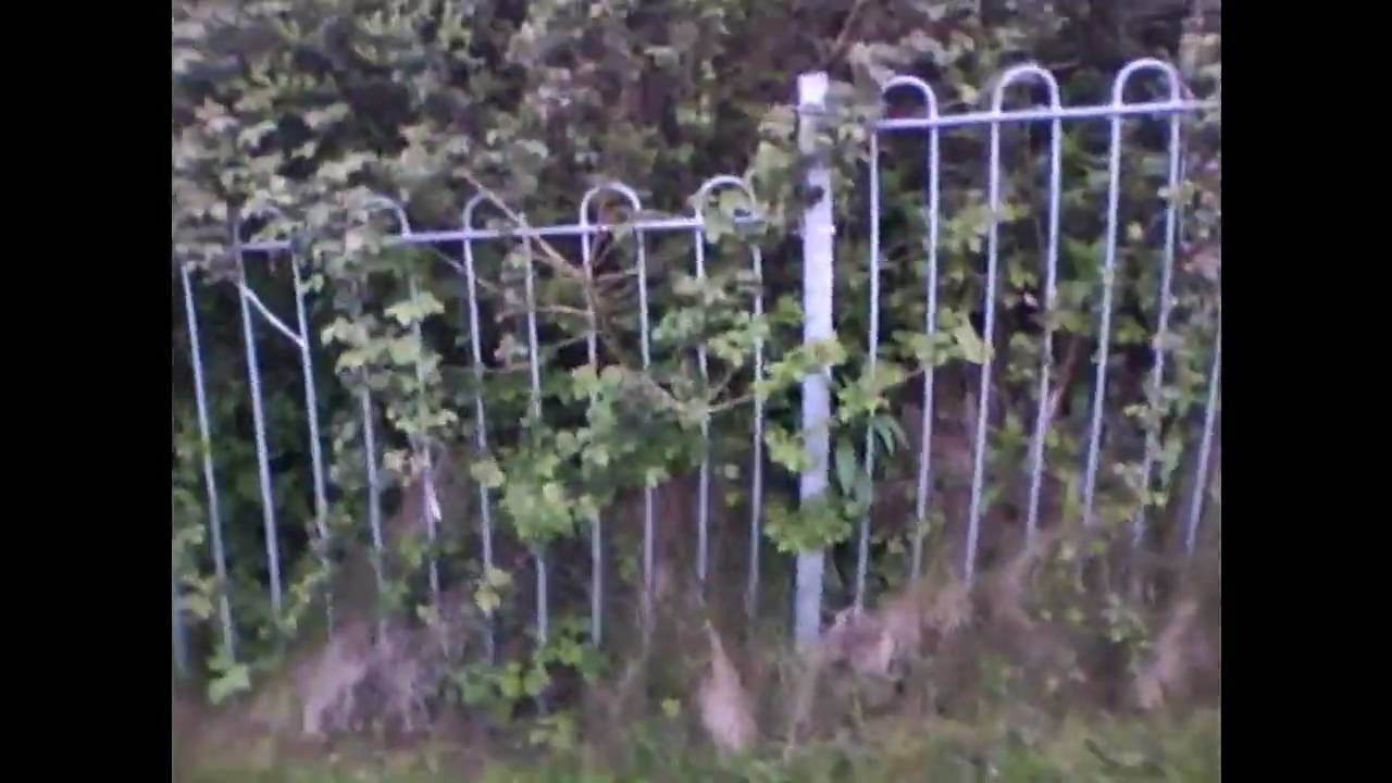 Red Ball Radio 50 Part 30 - YouTube