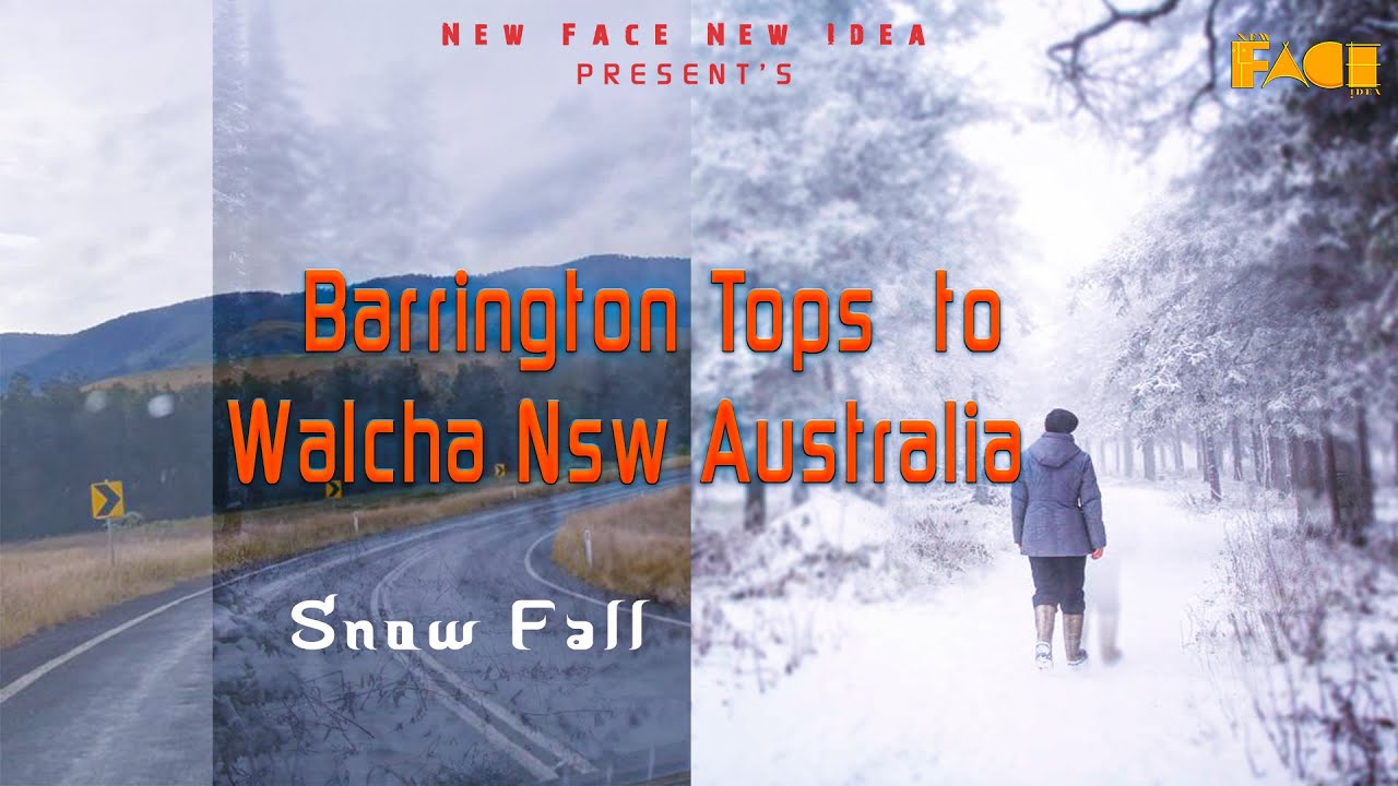 Snow Fall in Australia | Barrington tops to Walcha nsw | Winter snow ...