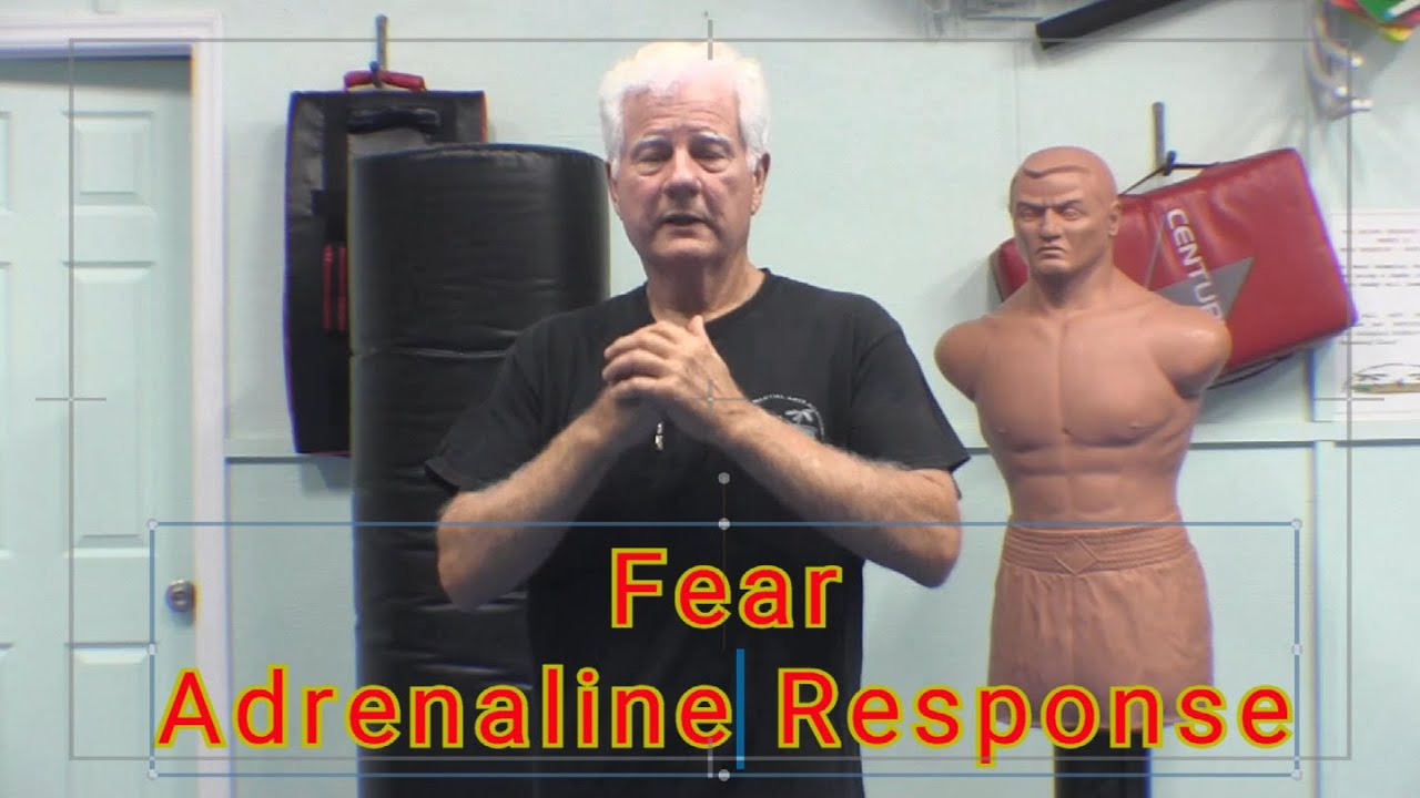 Adrenaline in Self-Defense. FEAR causes strange things to happens to ...