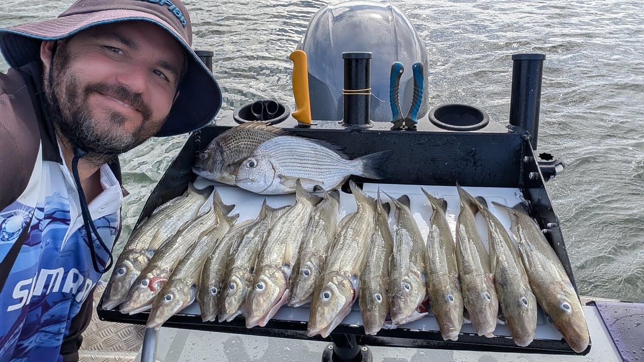 Gold Coast Summer Whiting, Night fishing, 20th June 2025 #whiting - YouTube