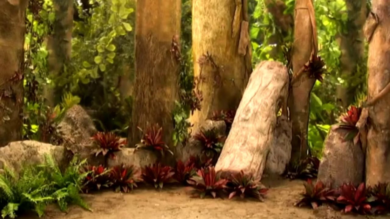 Encantadia:Forest free green screen - YouTube