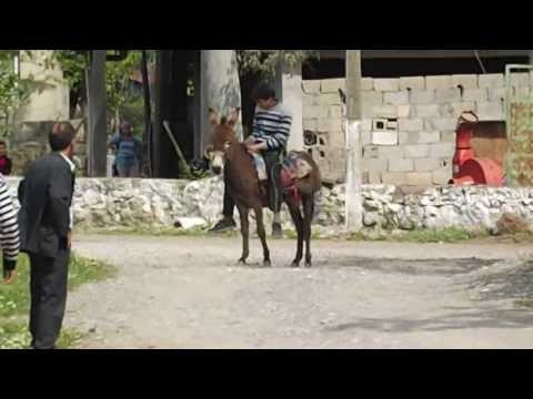 Yörük Şöleni- Eşek Yarışı