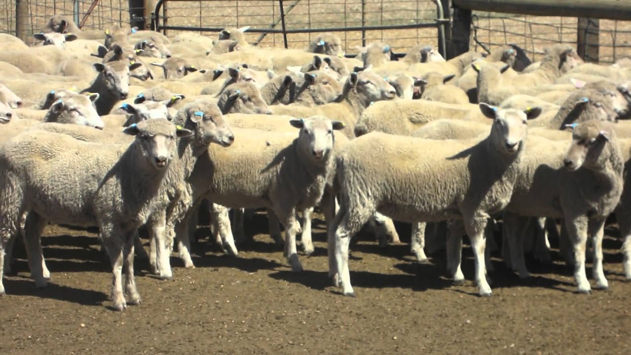 Barton station seconds2 - YouTube