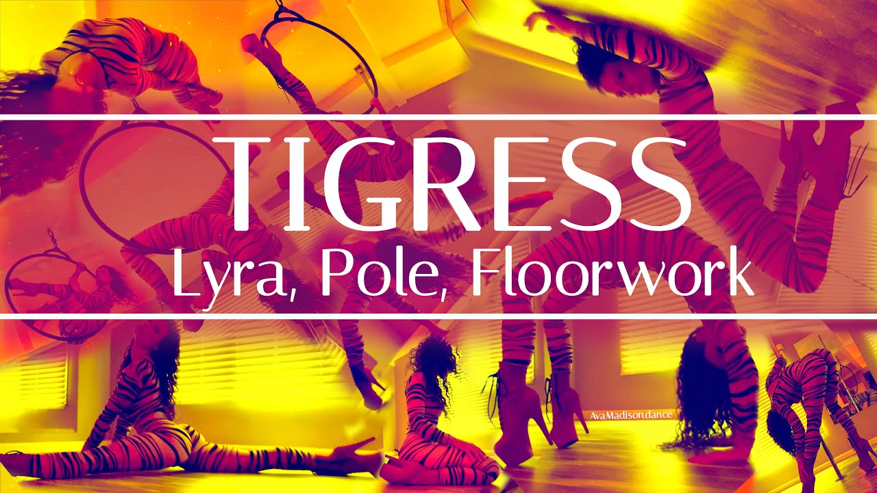 Tigress Dance : Lyra, Pole, Floorwork : Ava Madison Halloween - YouTube