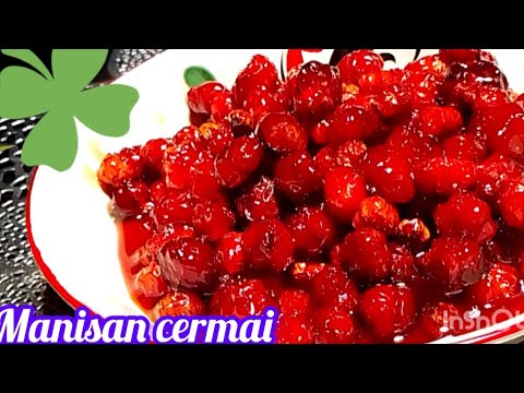 WOW SEGER BANGET‼️CARA MEMBUAT MANISAN BUAH CERMAI - YouTube