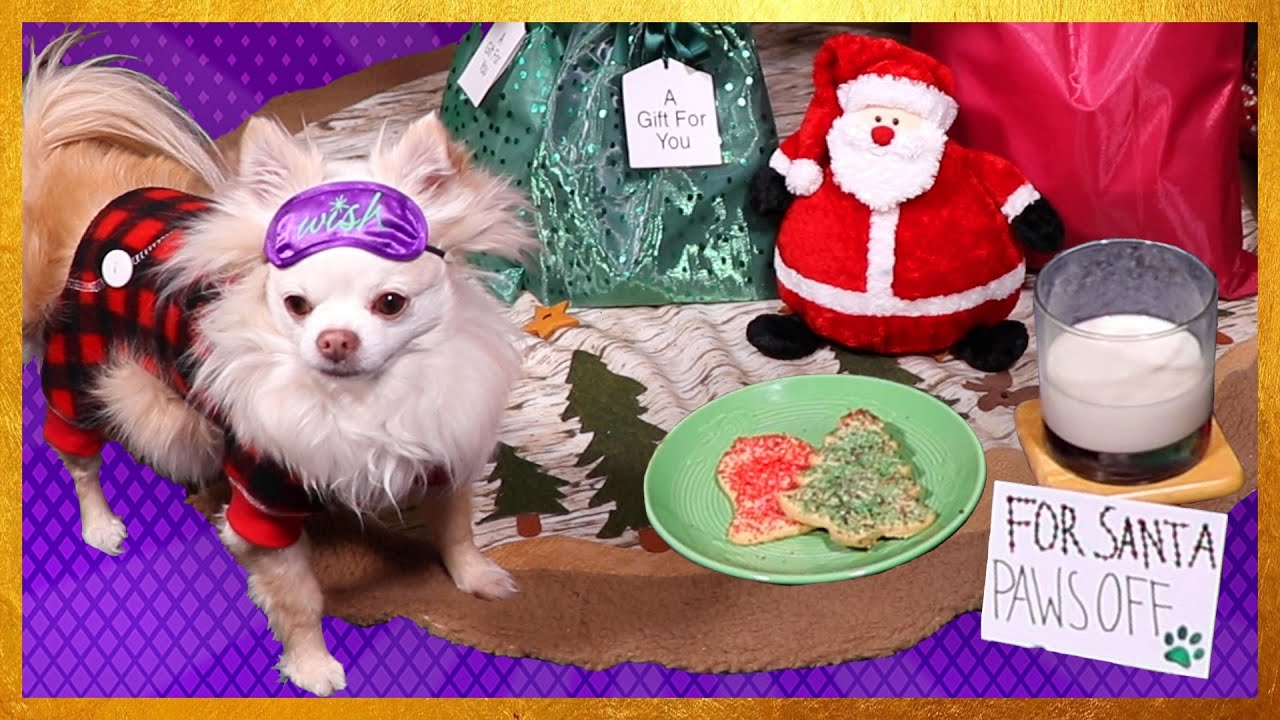 Dog Tries To Catch Santa Claus | Merry Christmas A Comedy Short Film ...