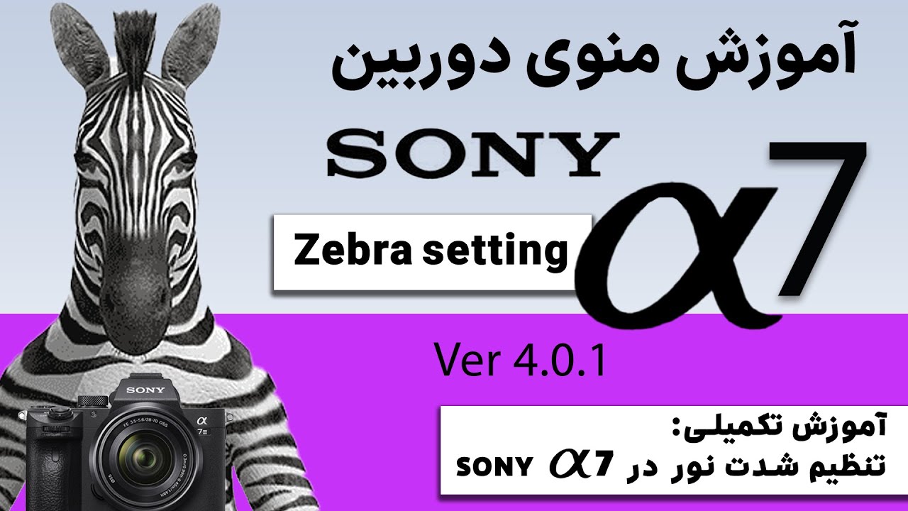 آموزش تنظیمات شدت نور در دوربین سونی آلفا 7 | Zebra Setting in Sony a7 ...
