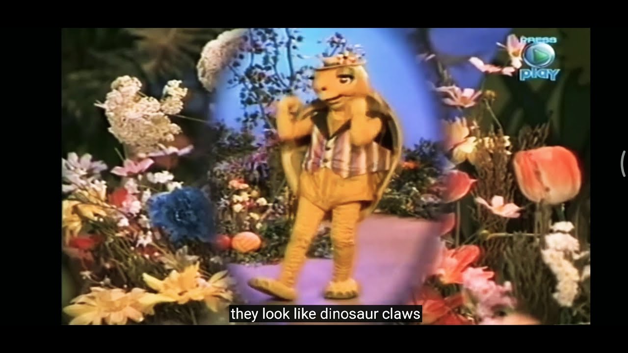 Timothy Traddle songs from Kideo - YouTube