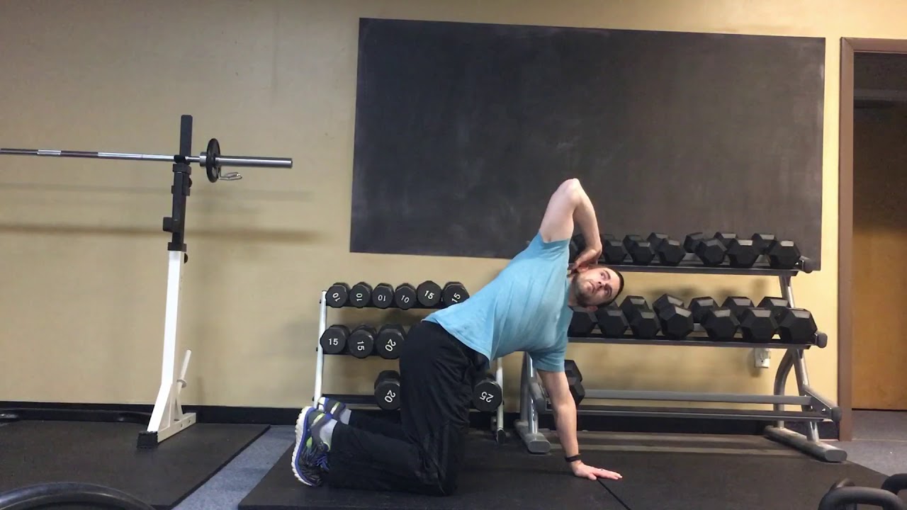 Quadruped Extension/Rotation - YouTube