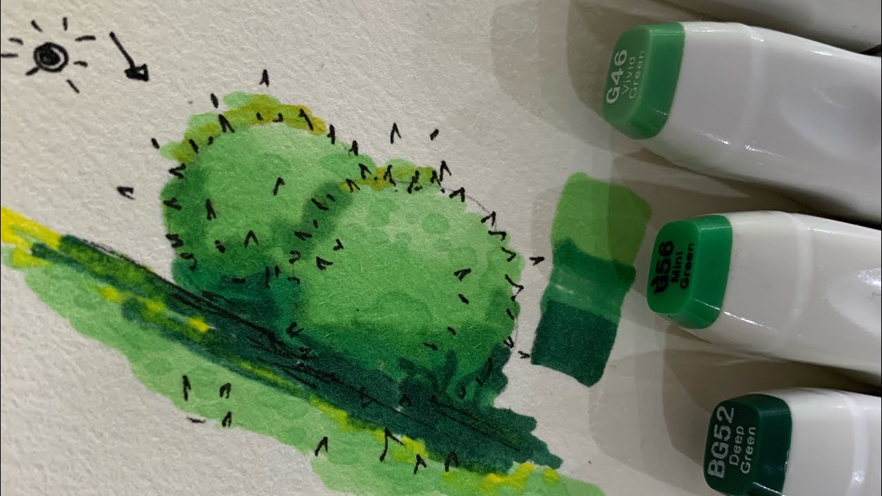 Shrub sketching #landscapearchitecture - YouTube