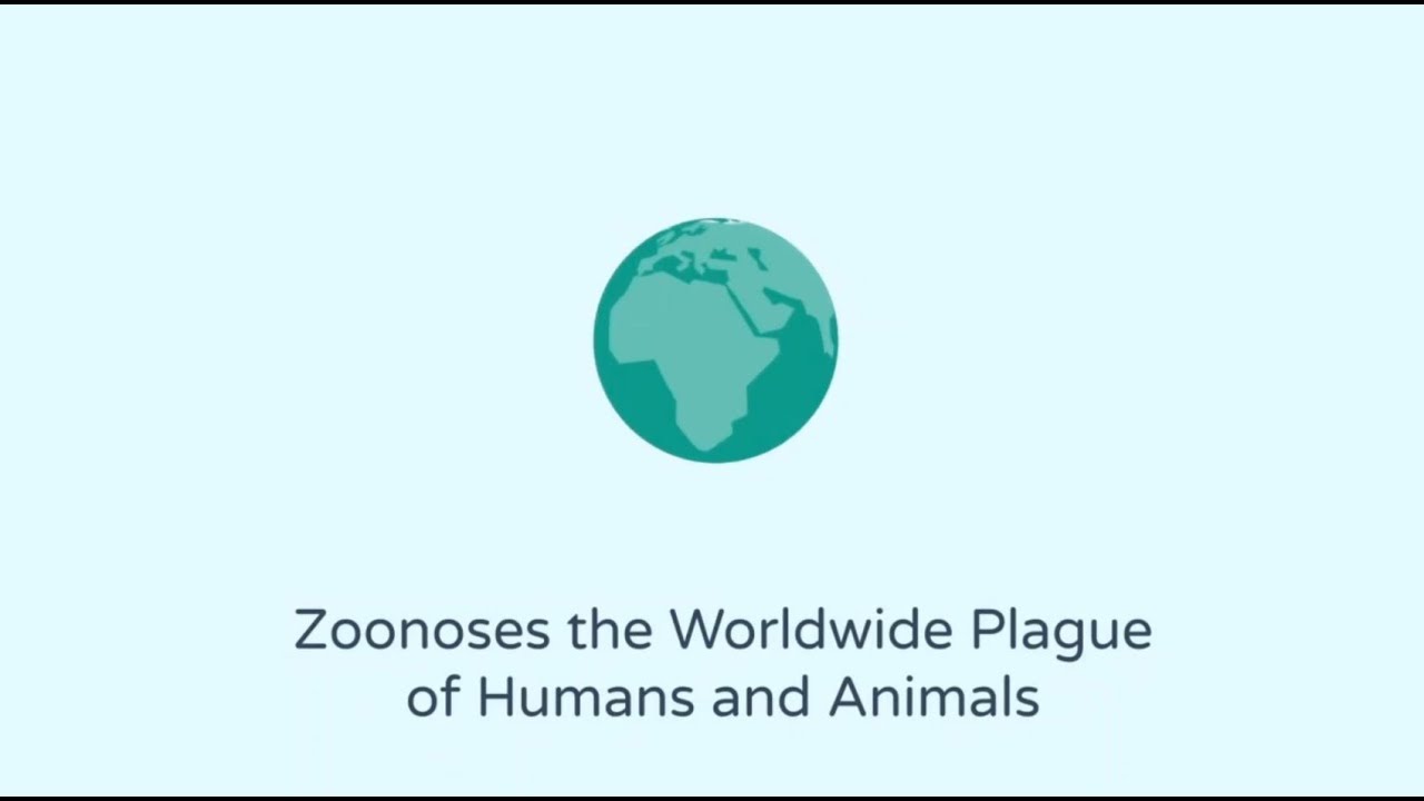 Zoonoses the Worldwide Plague of Humans and Animals - YouTube