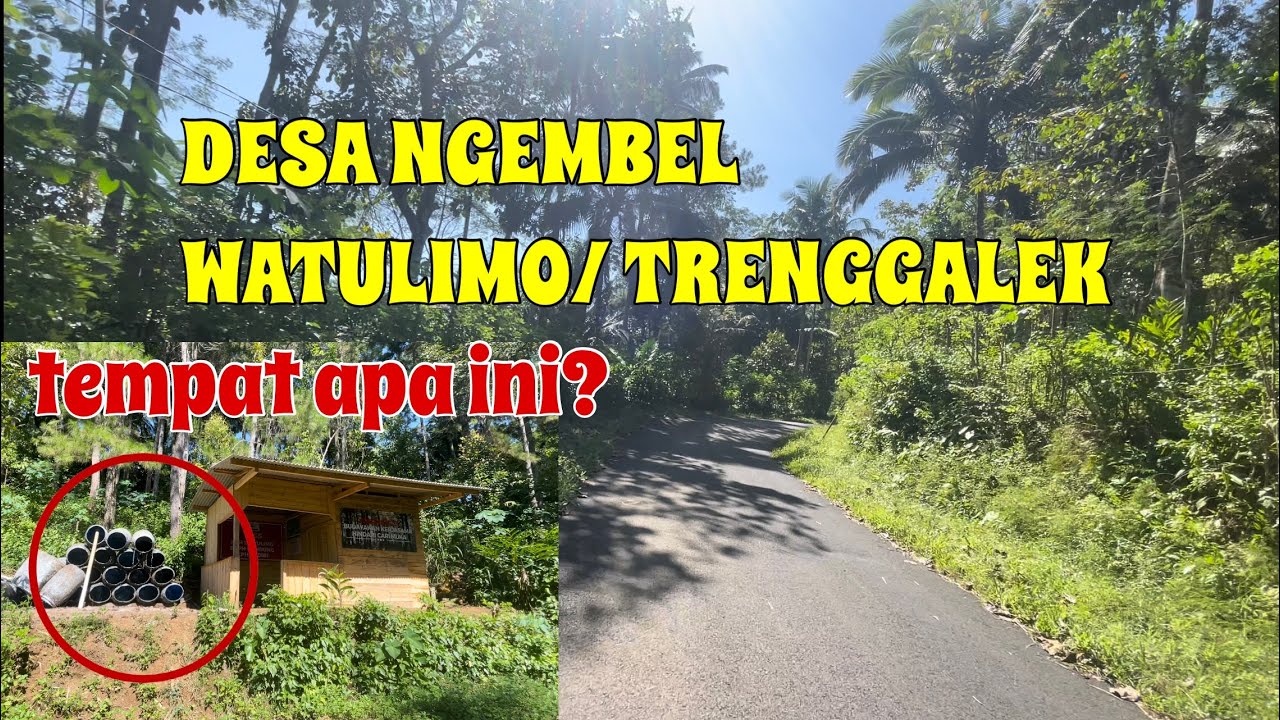 Kebun Durian sepanjang jalan desa Ngembel Watulimo Trenggalek - YouTube
