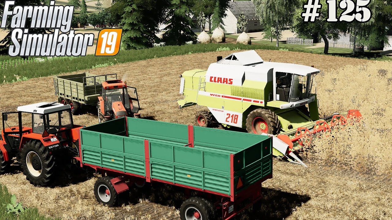 FS19 |OLD FARM|Big harvest of wheat. |Timelapse # 125 - YouTube