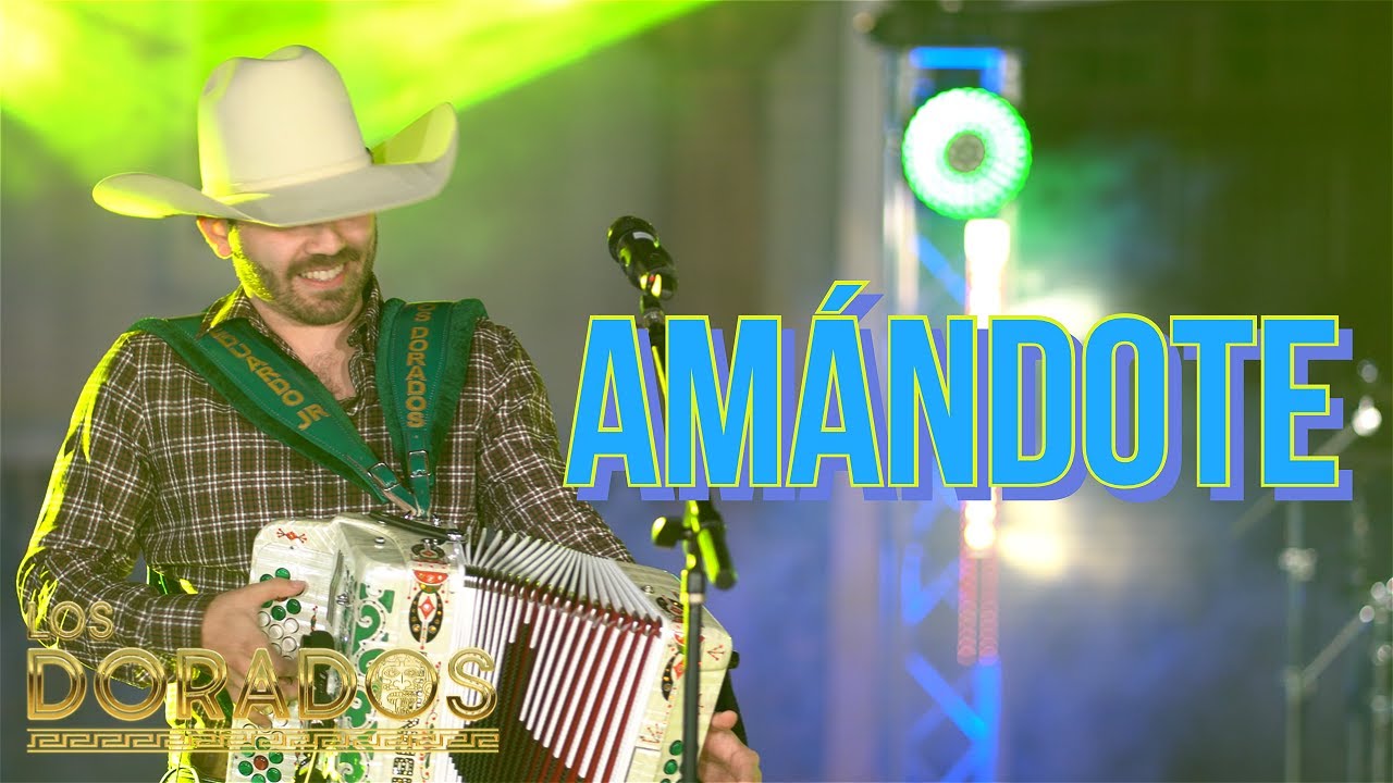 Los Dorados - Amándote (En Vivo) - YouTube