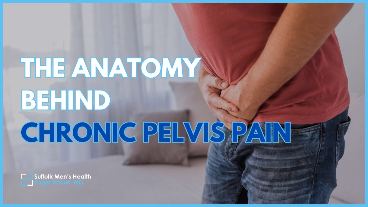 The ANATOMY of Chronic Pelvis Pain | Roger Khouri M.D. | Suffolk Mens ...