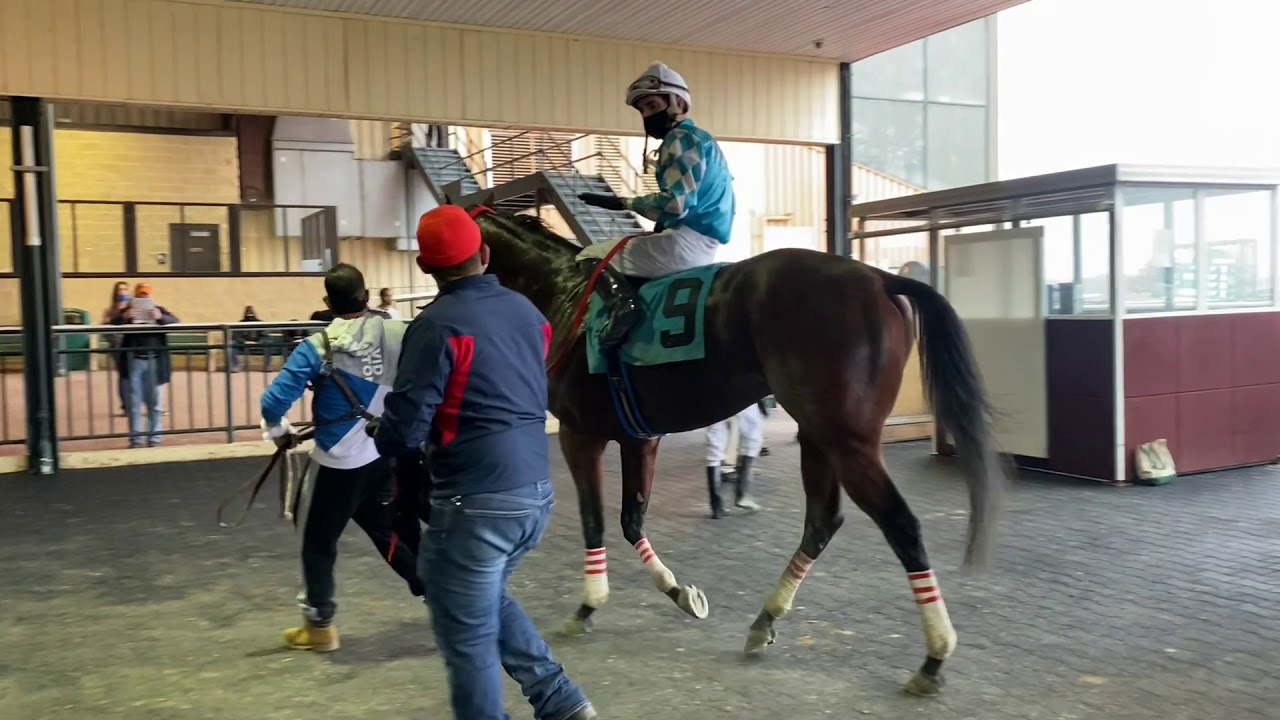 Parx Racing jockey Mychel Sanchez has another 3 win day - YouTube