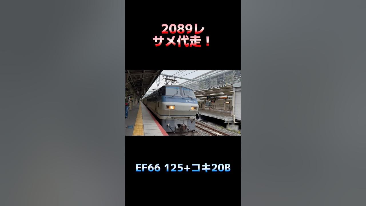 【サメ代走！】2089レ EF66 125+コキ20B #shorts #jr貨物 #貨物列車 #ef66 #ef66100番台 - YouTube