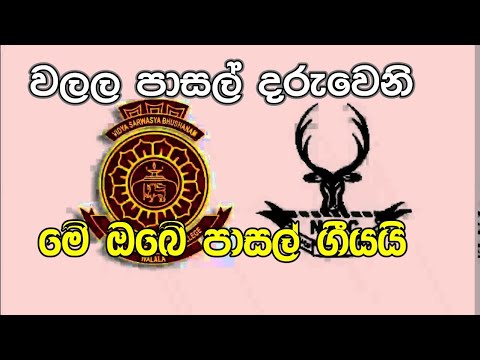 Walala A/Rathnayake Central Collage.Kandy - (වලල රත්නායක පාසල් ගීතය ...