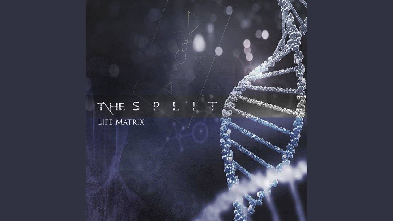 Mankind In Vitro - Life Matrix - YouTube