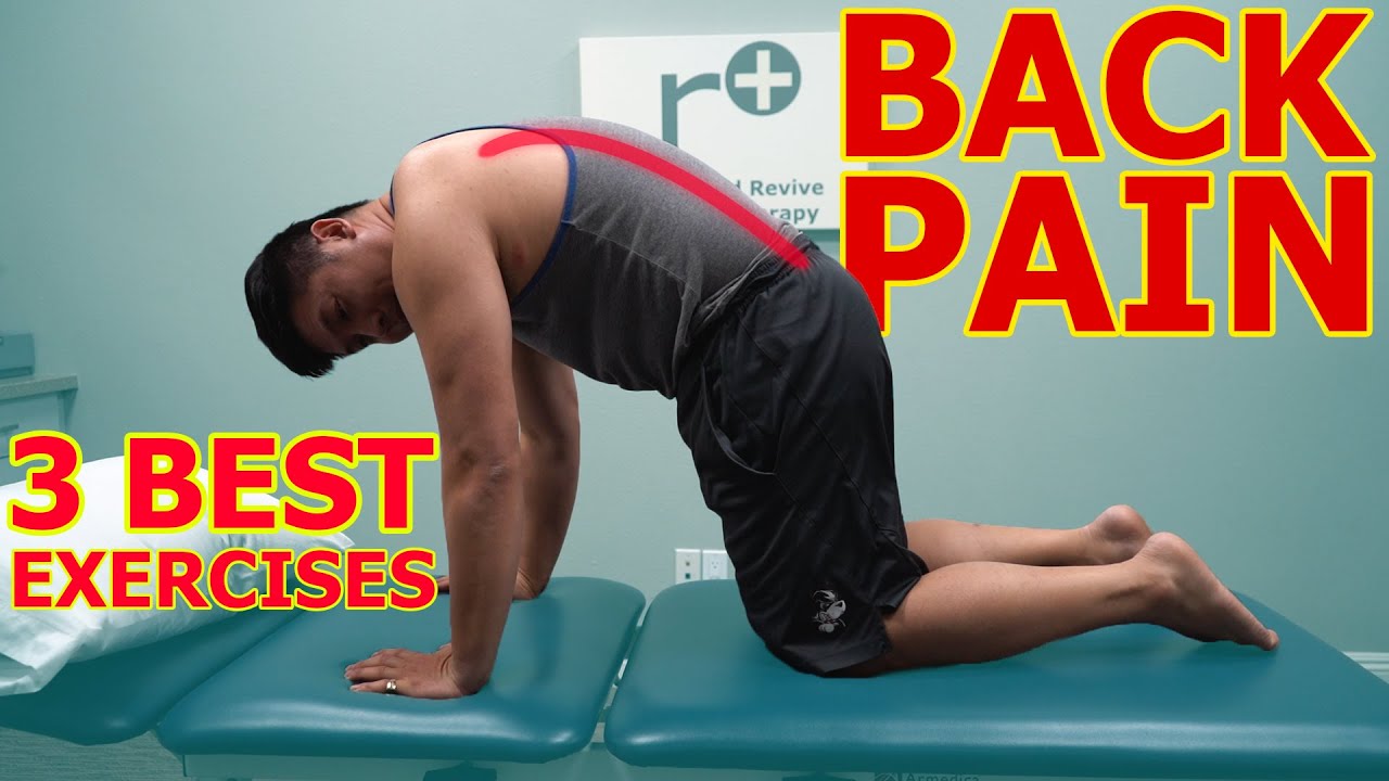 The 3 BEST EXERCISES For Back Pain | Taught By A Physical Therapist ...