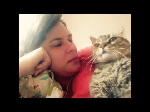 SAHİBİ İLE KONUŞAN KEDİ :D - CAT ANSWERS TO ITS OWNER