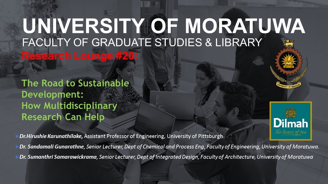 Research Lounge #20: The road to sustainable development: how ...